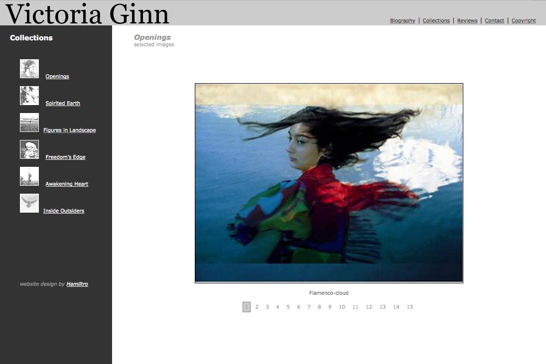 website design for a photographer and author